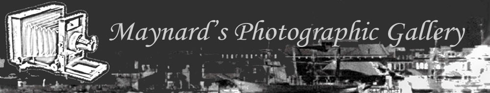Maynard's Photographic